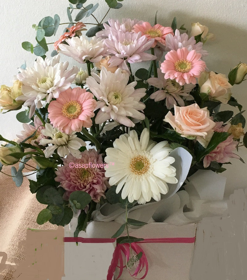 PASTEL MUM - Boxed Design – asapflowers